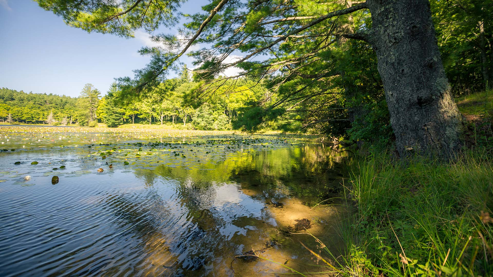 Featured Listings | Land, Lots, & Homes for Sale | High Country
